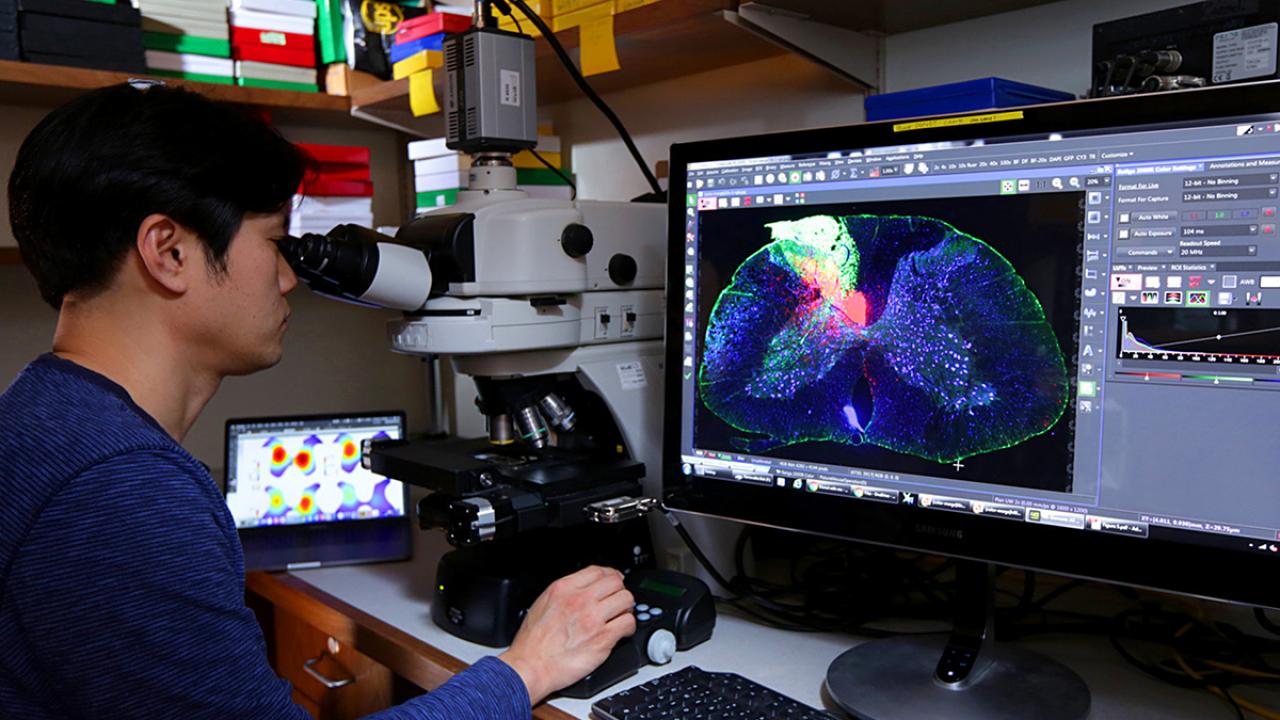 Research | Columbia Orthopedic Surgery