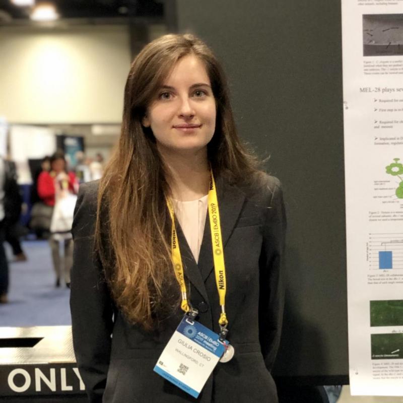 Huang Lab | Columbia Orthopedic Surgery